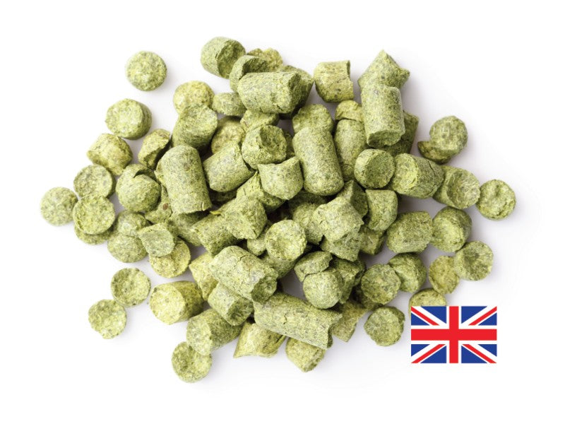 European Hops | Hop & Stuff
