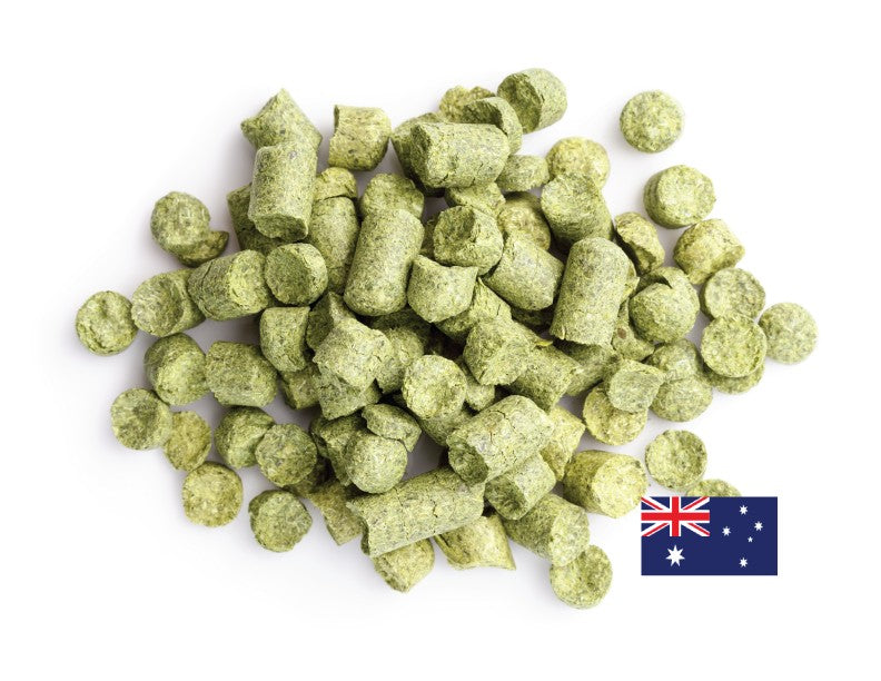 Eclipse™ - 2021 | Hop & Stuff