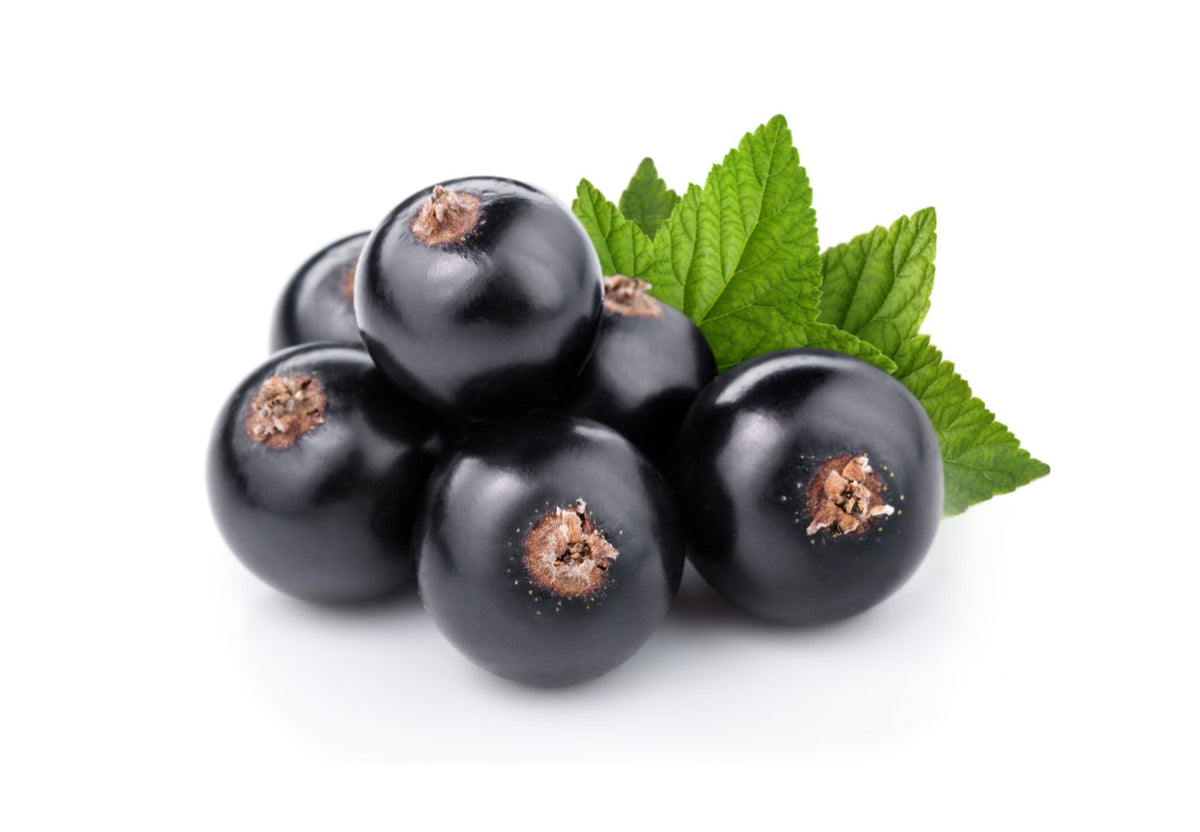 Black Currant Puree, Aseptic | Hop & Stuff